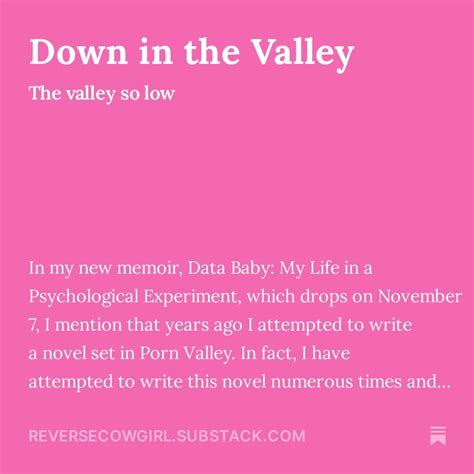 Porn Valley United States Of America — Susannah Breslin Adult Guest Blog Posting Website For