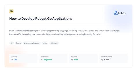 How To Develop Robust Go Applications Labex