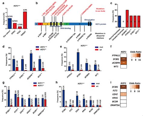Ikzf1 Mutation In Aml A The Frequency Of Ikzf1 Mutation In Our Aml