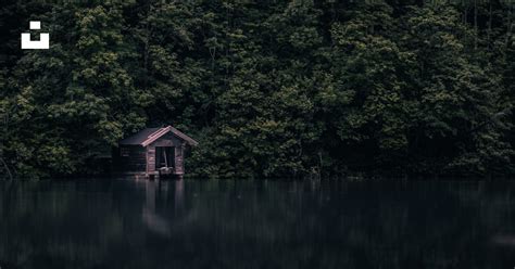 나무로 둘러싸인 호수 한가운데에 앉아있는 집 사진 Unsplash의 무료 오스트리아 이미지