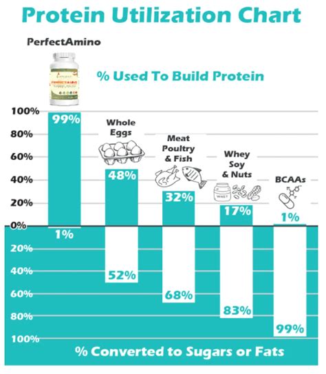 Workout Anytime Fitness Blog Everything You Need To Know About Protein