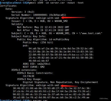 基于gmssl搭建nginx国密反向代理服务器 nginx gmssl csdn博客