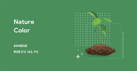 Nature Color Hex Code Is 498e5b Nature Color Hex Code Is 498e5b