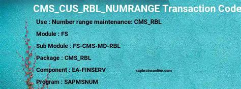 CMS CUS RBL NUMRANGE SAP Tcode For Number Range Maintenance CMS RBL