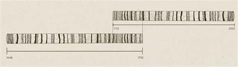 Tree Rings And The Tales They Tell Us National Park Service