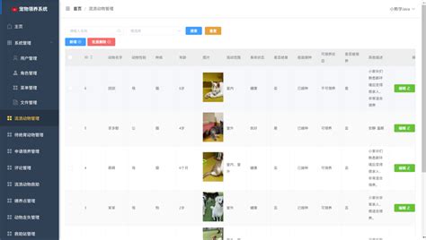 【毕设项目推荐】基于spring boot vue的宠物领养系统 腾讯云开发者社区 腾讯云