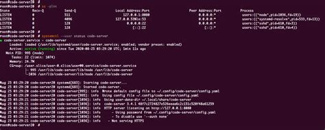 How To Install Visual Studio Code Server IDE On Ubuntu 20 04 LTS