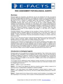 RISK ASSESSMENT FOR BIOLOGICAL AGENTS Risk Assessment For Biological Agents Pdf PDF PRO