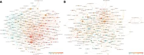 Overlay Visualization Of A Citation And B Co Authorship Analysis Download Scientific