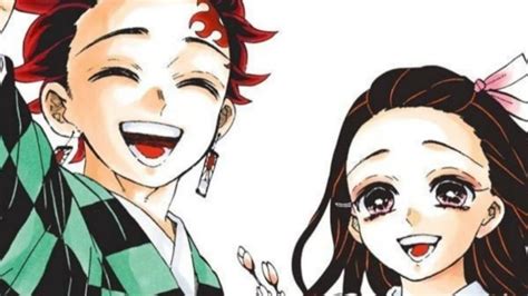 Demon Slayer Fans Have Some Strong Opinions On This Kamado Sibling