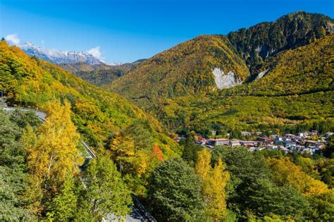 Cakephpバッチ開発で高速にバッチを実装する 怪しい物を開発するブログ