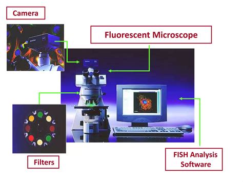 Molecular Diagnostic Techniques Pptx Chemistry Science