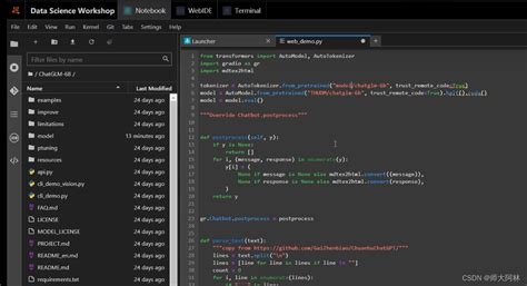 全网最全 ｜chatglm2 6b 部署（利用autodl gpu算力） chatglm2 6b github csdn博客