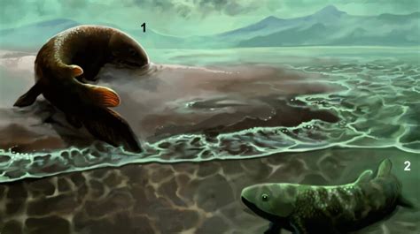 Mitochondria Why Theyre Called The Powerhouse Of The Cell