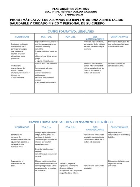 Plan Analítico 2024 2025 Formato Pdf