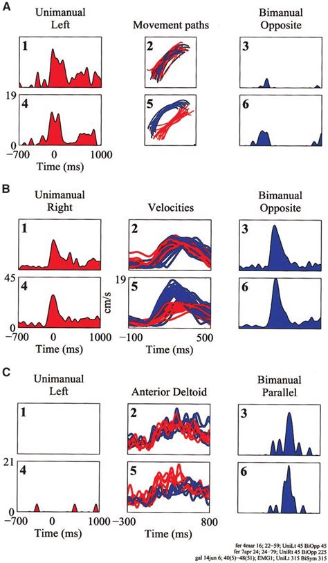 Separation Analysis Figure Shows An Example Of The Separation Analysis