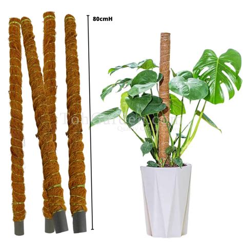 Coco Stick Plant Support Pole For Climbing Plants Indoor Outdoor Toh