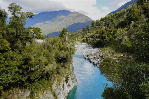 Explore Hokitika Gorge And Tree Top Walkway Nz Adventure
