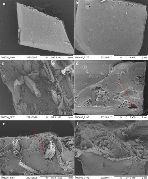 Sem Micrographs For Pe Samples Left Pictures Correspond To Samples