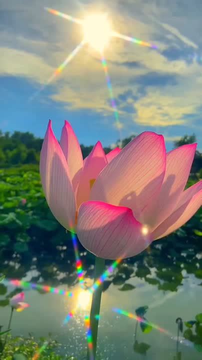 Roshan Chaudhary On Linkedin After Every Night Theres A Day 💕 ️