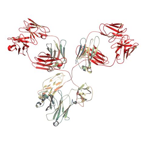 Rat IgG2a Isotype Control Antibody Clone C1 18 4 Ushelf
