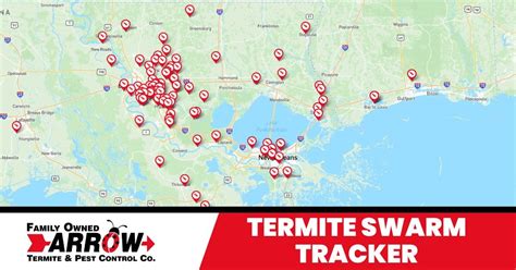 Louisiana Termite Swarm Map Swarm Tracker Report A Swarm