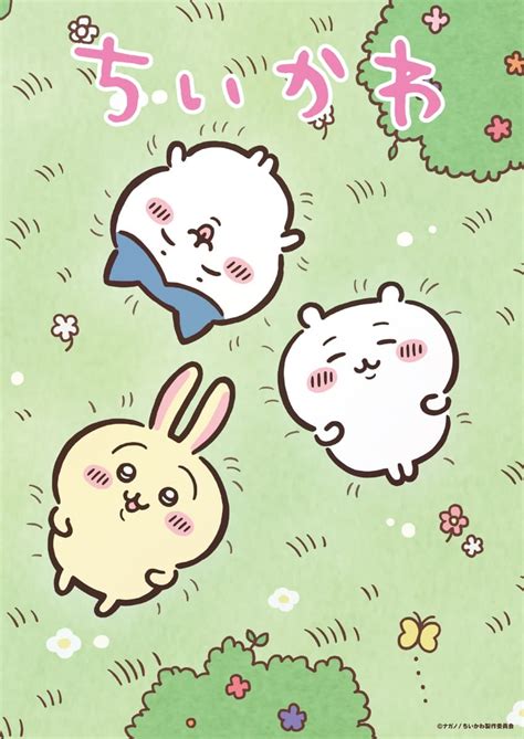 Chiikawa Countdown How Many Days Until The Next Episode