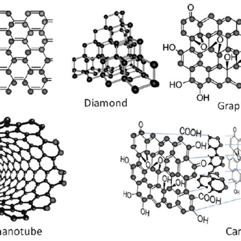 Schematic Diagram Of Some Of The Nanostructured Carbon Download Scientific Diagram