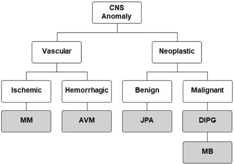 中枢神经系统疾病特异性尿液生物标志物 Scientific Reports X Mol