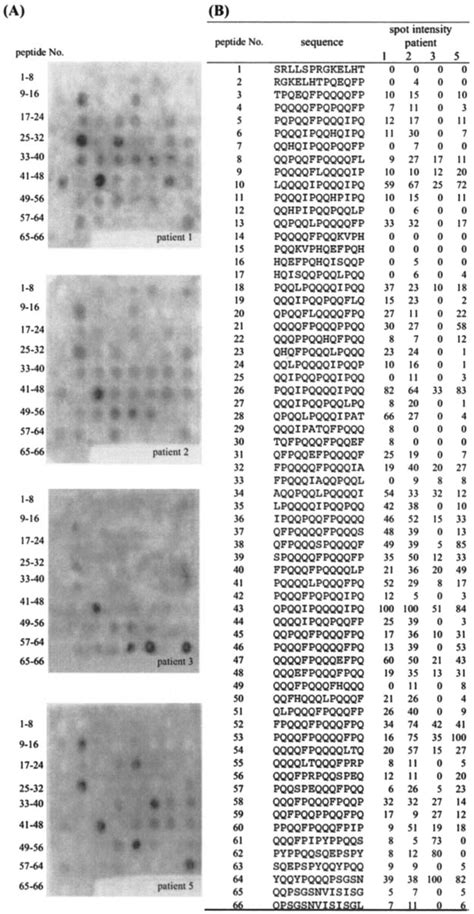 reactivity of overlapping peptides derived from the sequence of