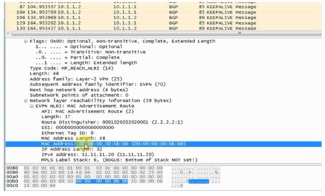 data center solution evpn with vxlan ip infusion ip infusion