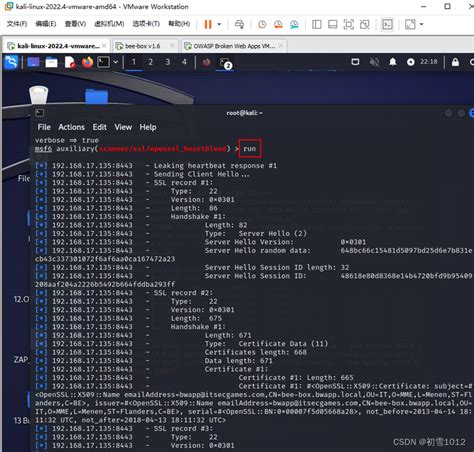利用 Heartbleed 漏洞ssl Heartbleed Csdn博客