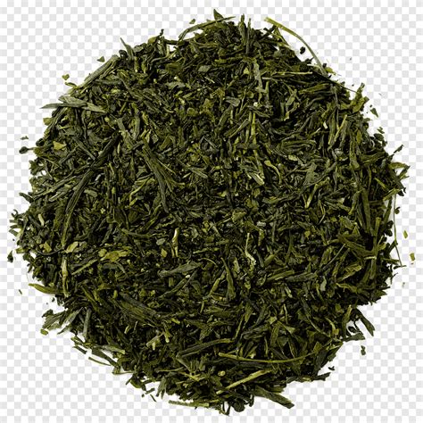 Té Verde Gyokuro Masala Chai Nilgiri Té Té Té Hierba Png Pngegg