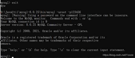 Mysql解压版安装执行mysqld Initialize命令无法自动生成data文件夹mysqld Inisialized 大小写