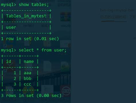 Mysql命令：mysqldump命令进行数据备份详解 数据运维技术
