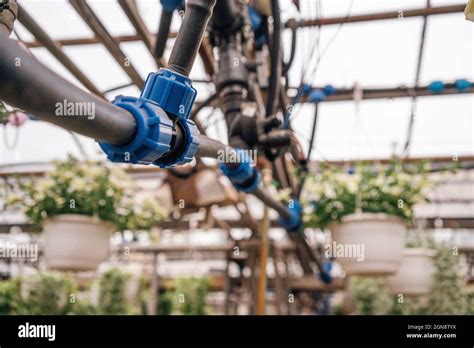 Irrigation Equipment In Plant Nursery Stock Photo Alamy