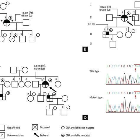 Signaling Pathways Controlled By Rearranged During Transfection Ret