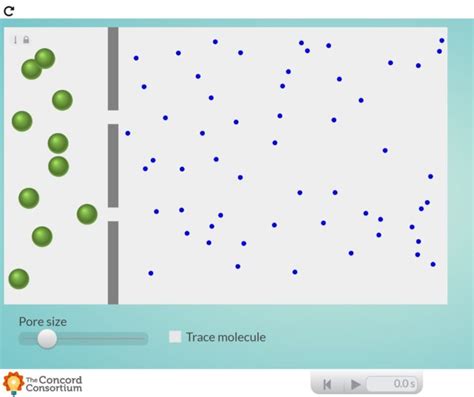 Diffusion And Osmosis Biology Course Hub