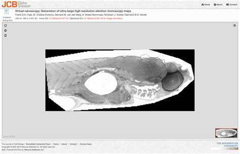 Liza Unson Ui Ux Designer Visual Design Portfolio