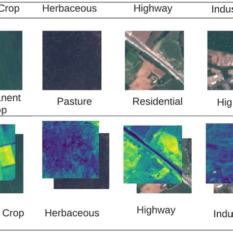 images predicted via model trained on rgb and nir dataset which were
