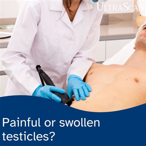Ultrascan A Testicular Ultrasound Scan Is A Diagnostic Test That
