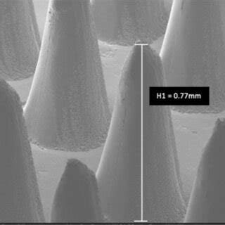 SEM Image Of Microneedle Array Download Scientific Diagram