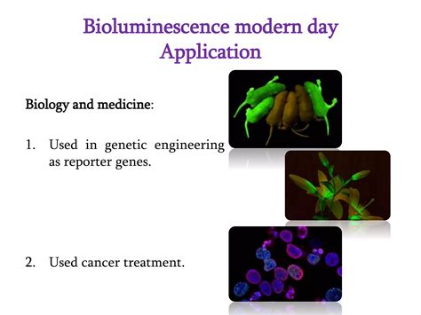 Bioluminescence In Bacteria Pptx