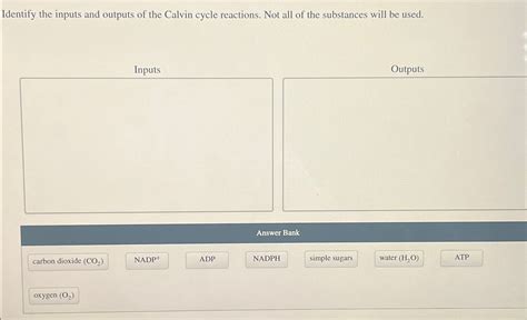 Solved Identify The Inputs And Outputs Of The Calvin Cycle Chegg Com