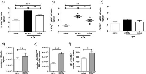 Enhanced Numbers Of Nk Cells Were Determined In Persistently Mcmv