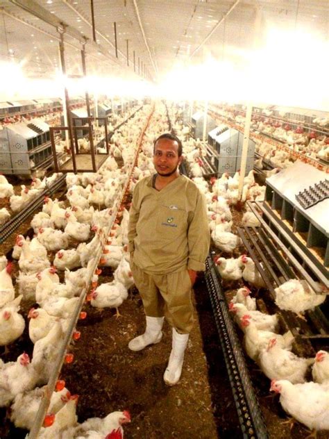 hossam hosny posted on linkedin