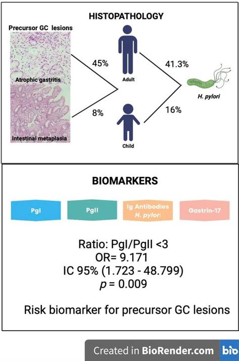 Pepsinogen I Pepsinogen Ii Gastrin 17 And Helicobacter Pylori