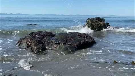 Relaxation Practice Assertive Affirmations 15 Min Youtube