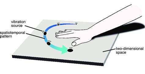 Vibrotactile Spatiotemporal Pattern Recognition Download Scientific