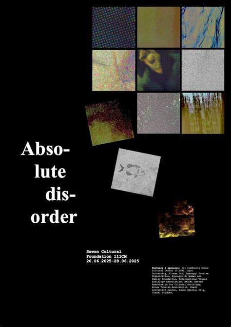 Visual Studies Exhibition International Visual Sociology Association